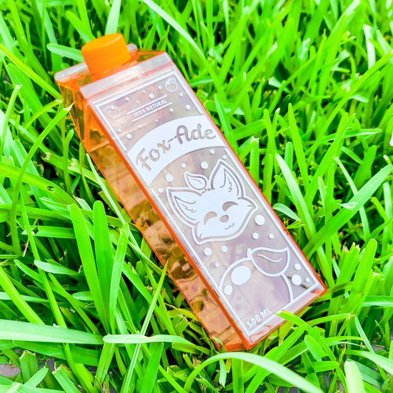 FOX-ADE CARTON WATER BOTTLE – 0 Fox Shop